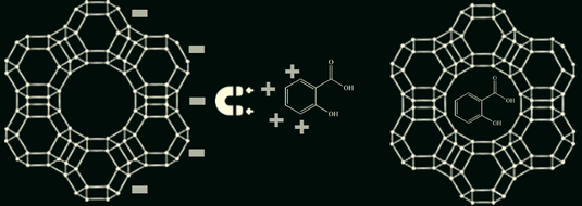 Heavy Metal Detox – Holomua Labs